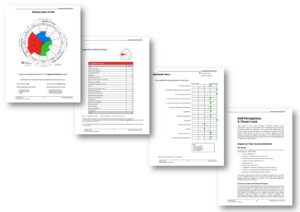 Life Styles Inventory (LSI)