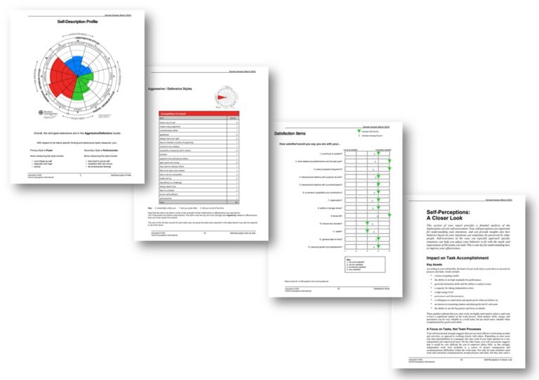 Life Styles Inventory (LSI)