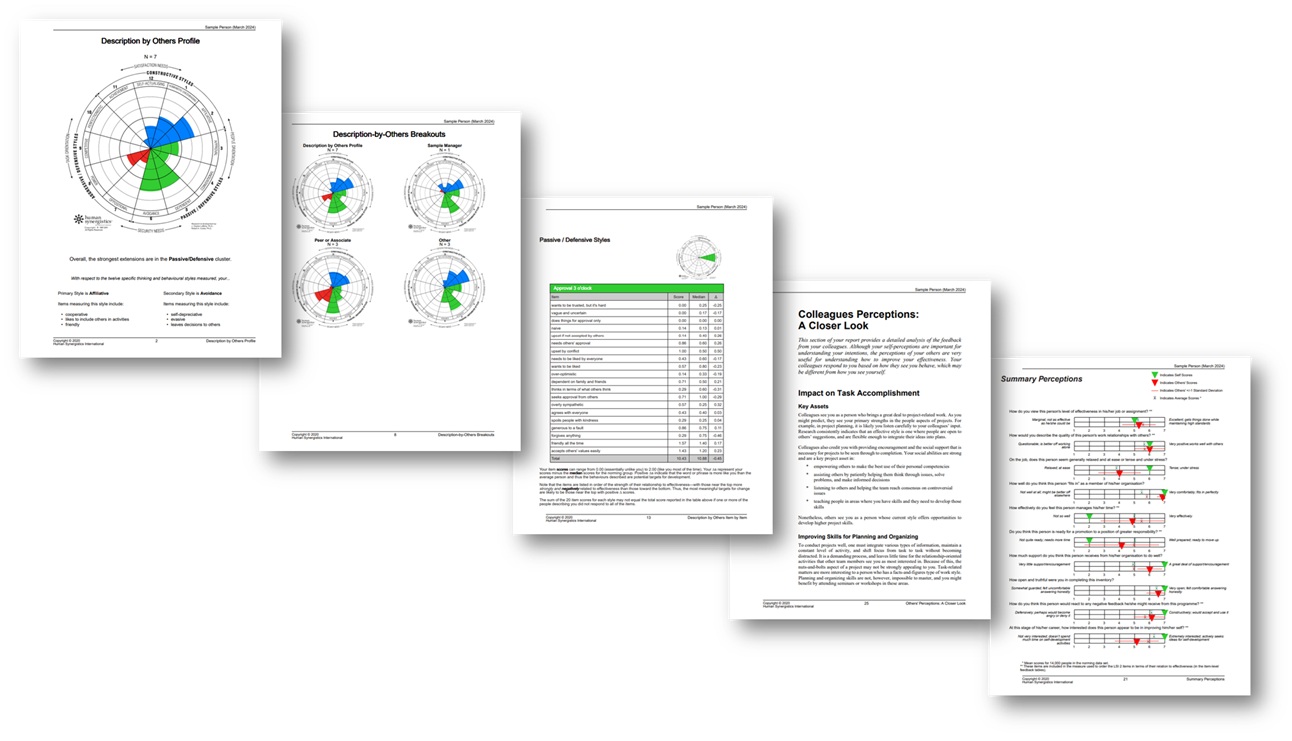Life Styles InventoryTM (LSI) 360 Feedback