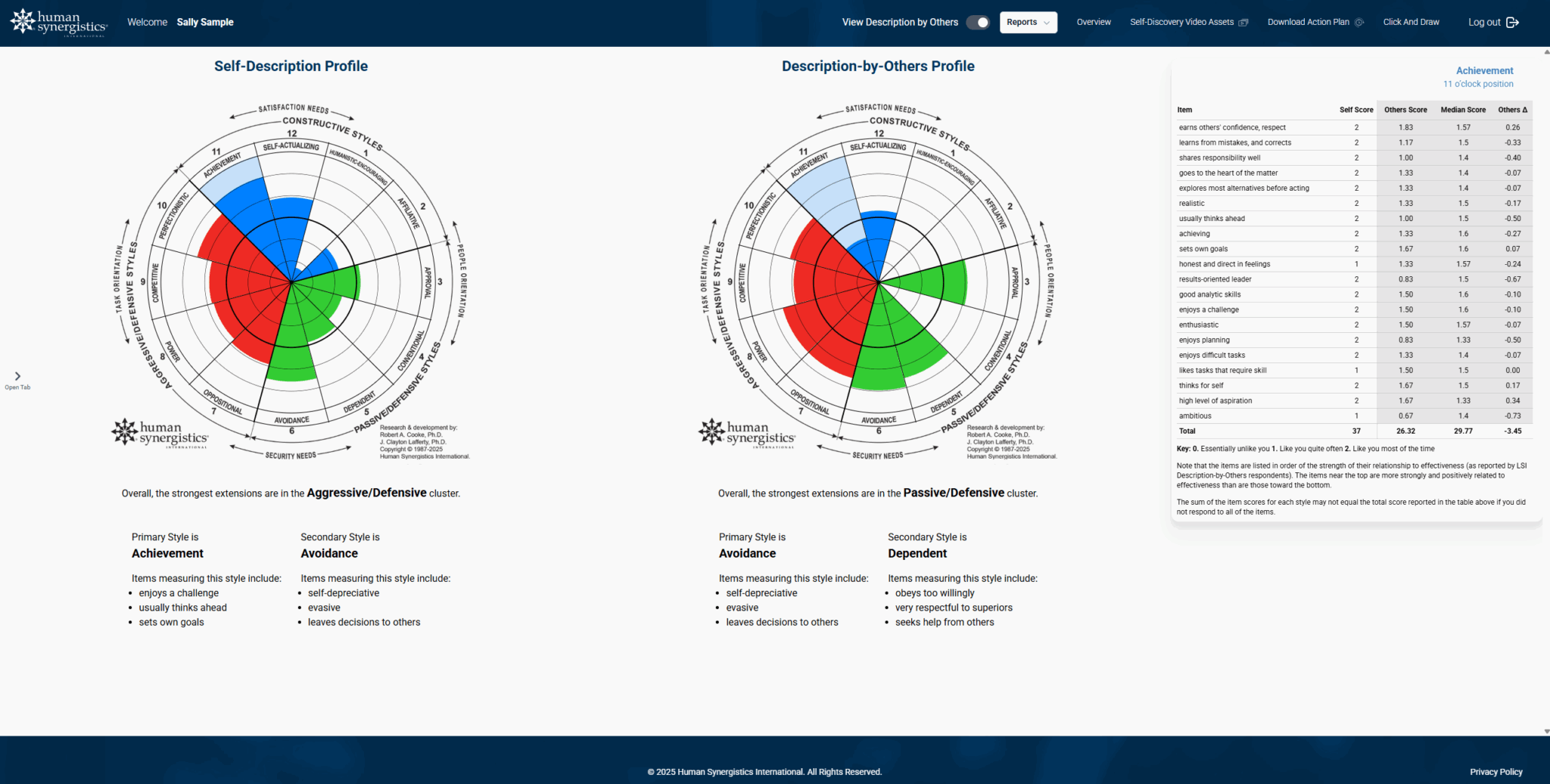 LSI Digital - Our New Online Interface