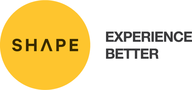 Life Styles Inventory (LSI)